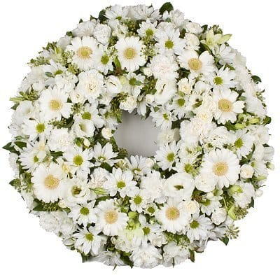 Rest In Peace , Sir Teddy - onlineFOCUS