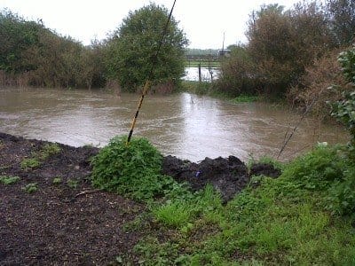 The State Of The Crouch - onlineFOCUS